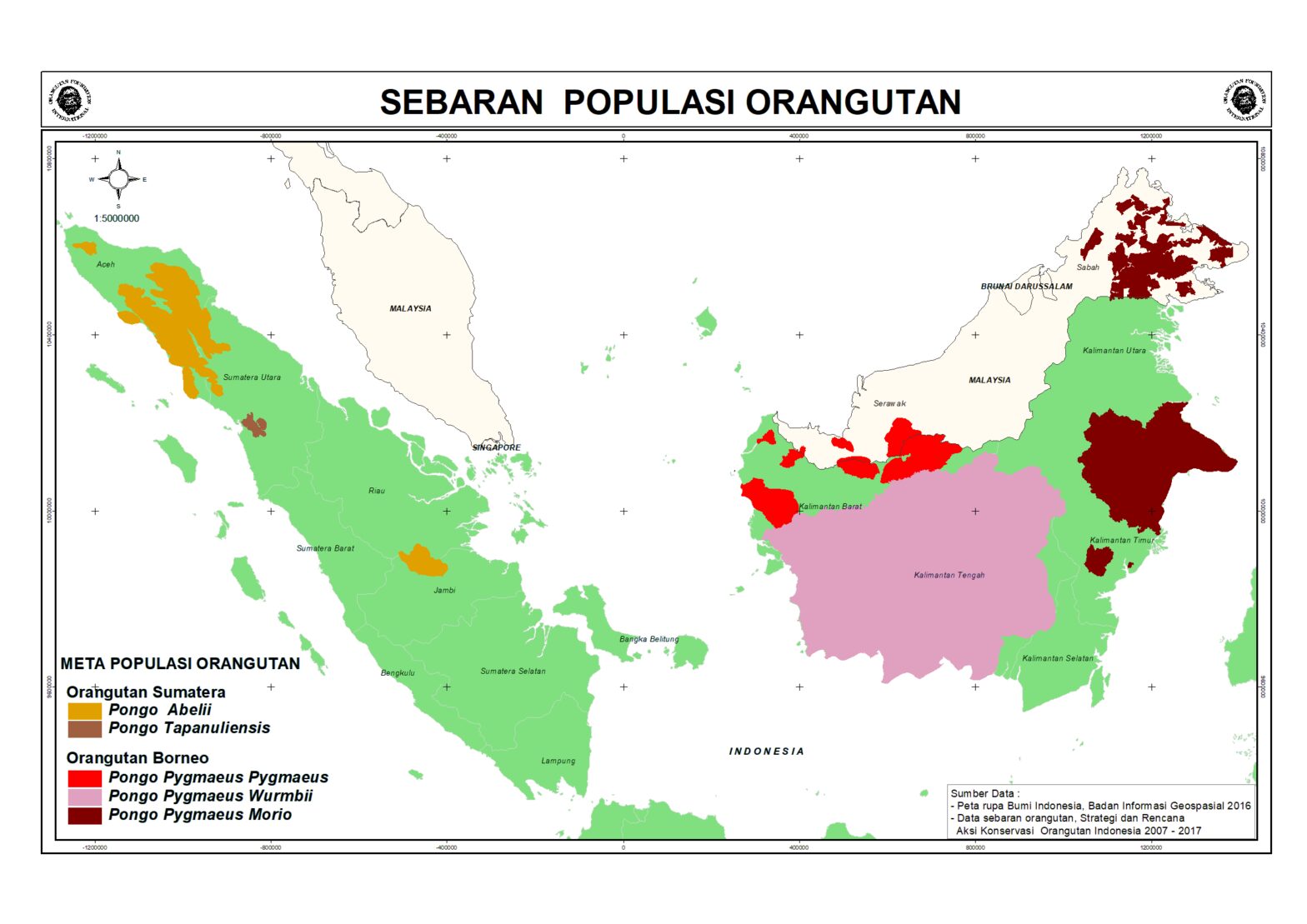 Orangutan Foundation International – 97% of our DNA...100% of Our ...